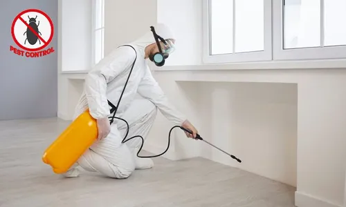 Doha Pest Control Deal – Home Treatments Starting at QR89 (was QR200)